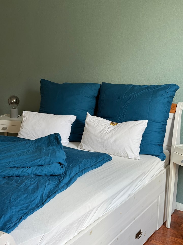 Gemütliches Apartment In Elbnähe - Dresden