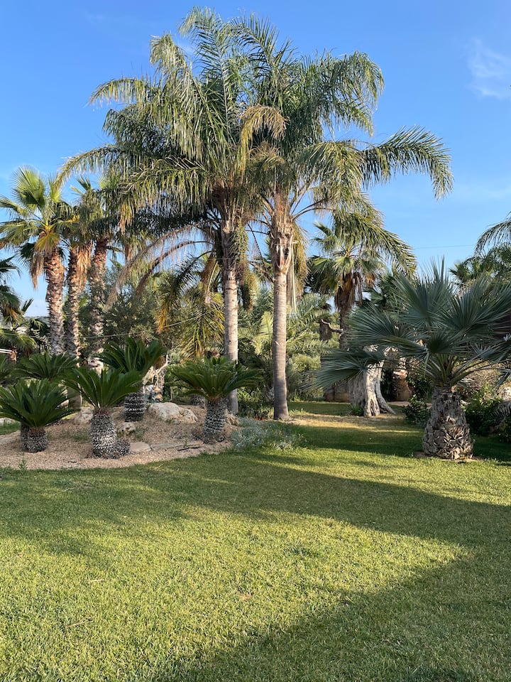 Alla Villa Di Angelo Narciso - Monopoli