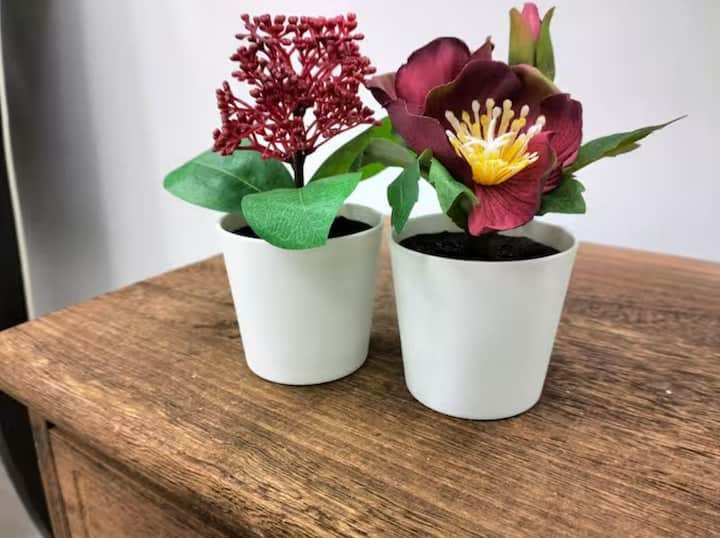 Jb Austin Regency Simple & Tidy 5pax+1 - Johor Bahru