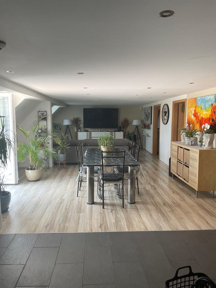 Grand Appartement Au Calme. - Erstein