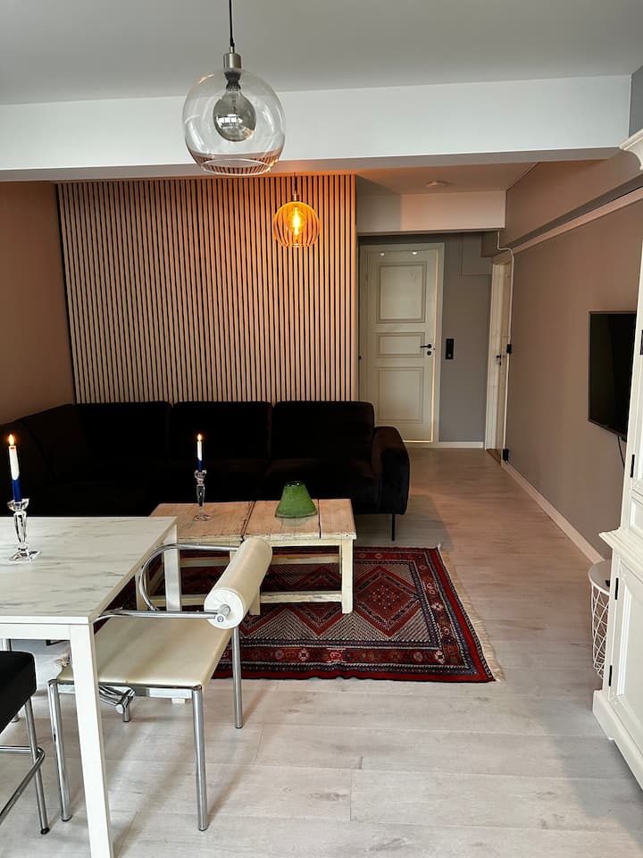 Fin Leilighet I Hjertet Av Oslo - Oslo