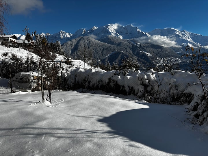 Appartement Rez De Jardin - Passy