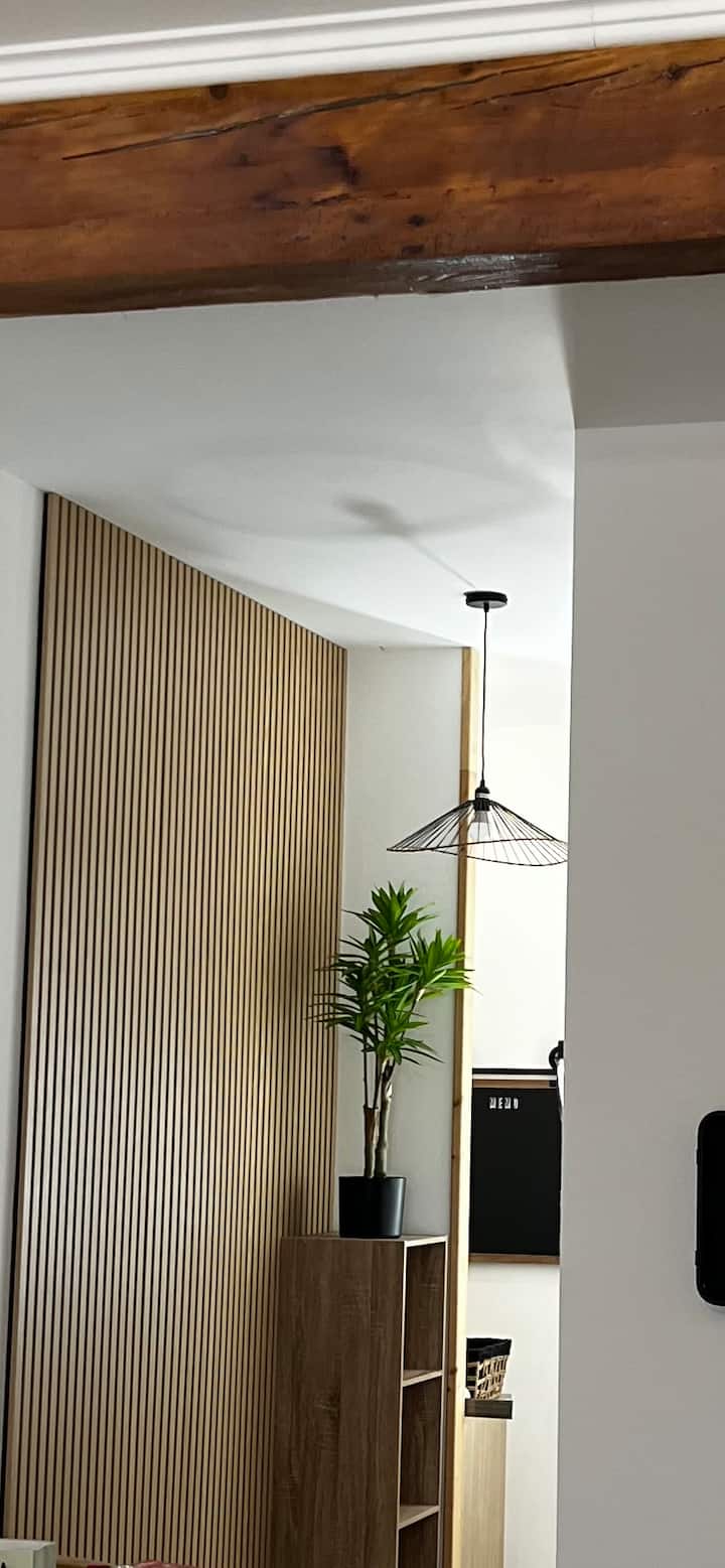 Joli T2, Moderne Et Industriel - Privas