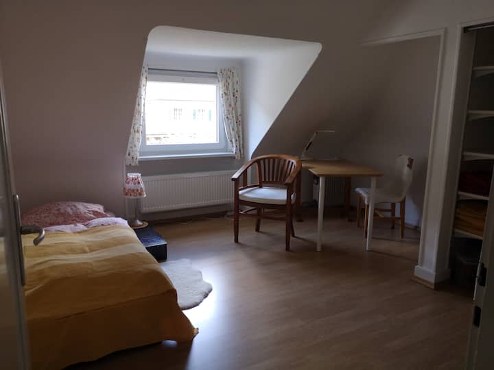 Hübsches Zimmer In Zentrumsnähe - Saarbrücken