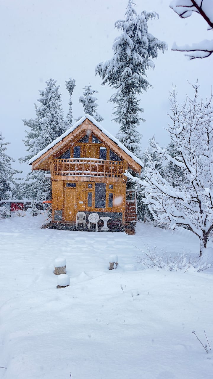 Secluded Himachali Wooden Cabin With Garden &Views - Mandi