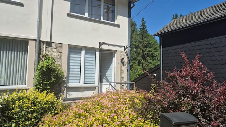 Chambre Francorchamps A - Trois-Ponts