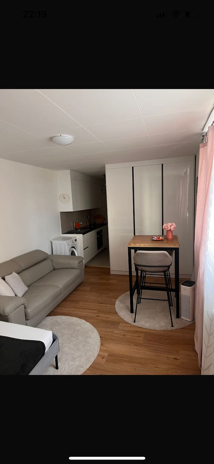 Appartement Privé à Montreux - 蒙特魯