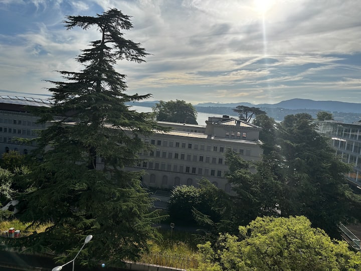 Central, Amazing Views, Classy - Geneva