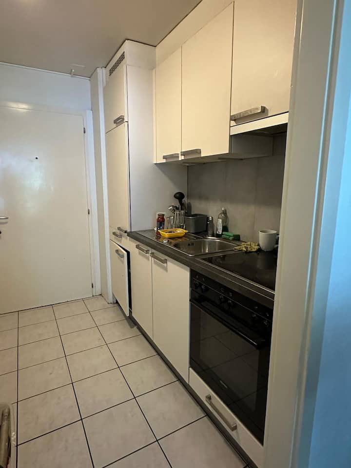 Petit Appartement Charmant - Vevey
