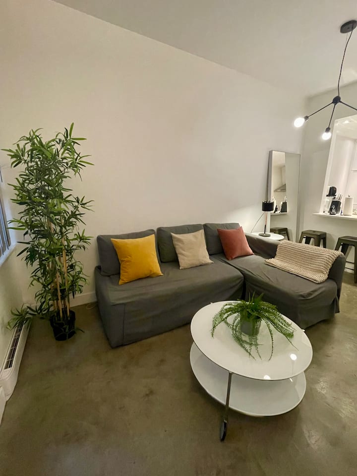 Modern Dt Sleeps 4, W/parking - Vancouver