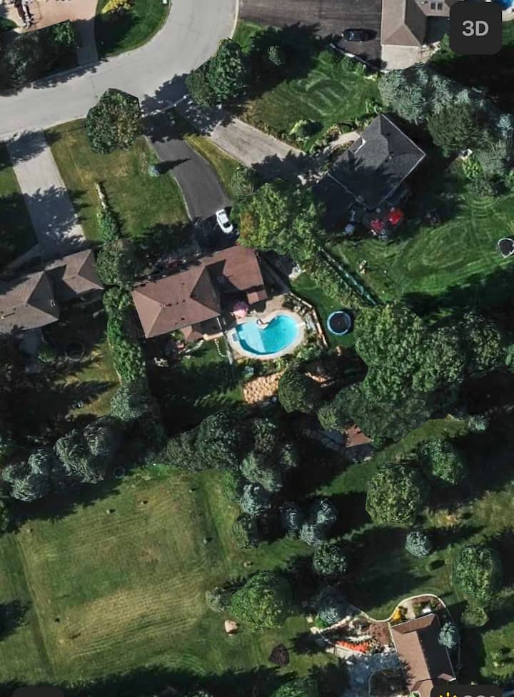 Sharon Party Palace - Newmarket