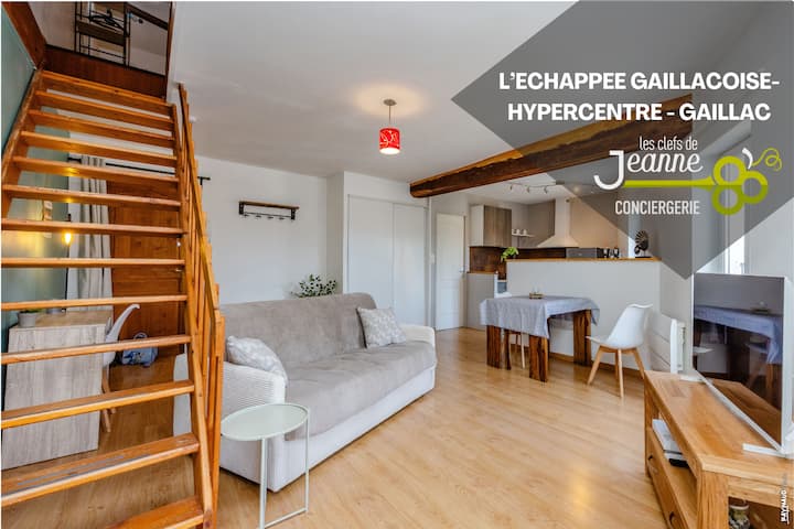 L’échappée Gaillacoise - Duplex Cosy - Gaillac