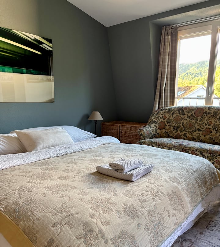 Cozy Air Conditioned Apartment - Zürich