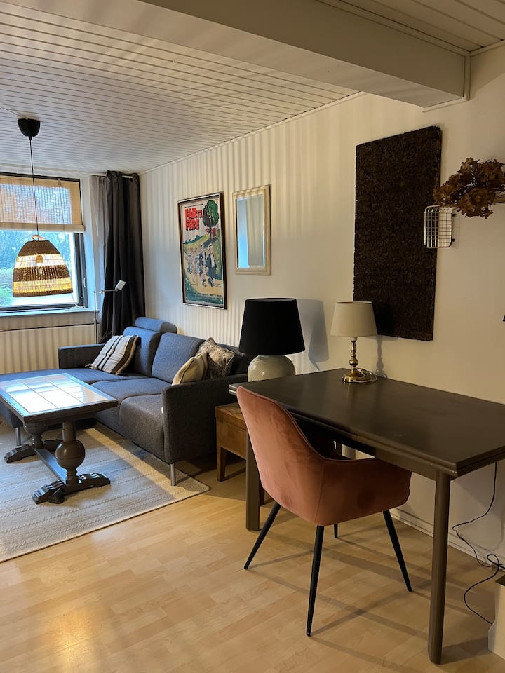 City Center Cozy Appartment With Free Parking - Odense