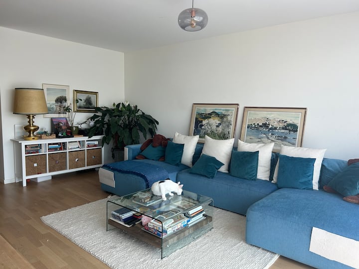 Magnificent Luxury Apartment - Geneva