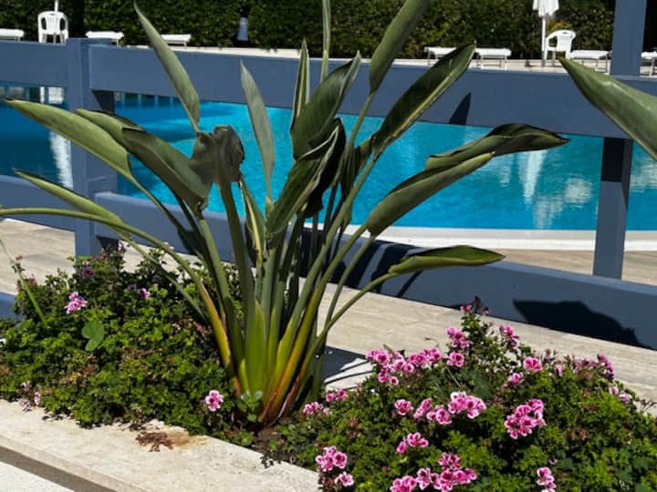 Casavalu Recanati - Naxos