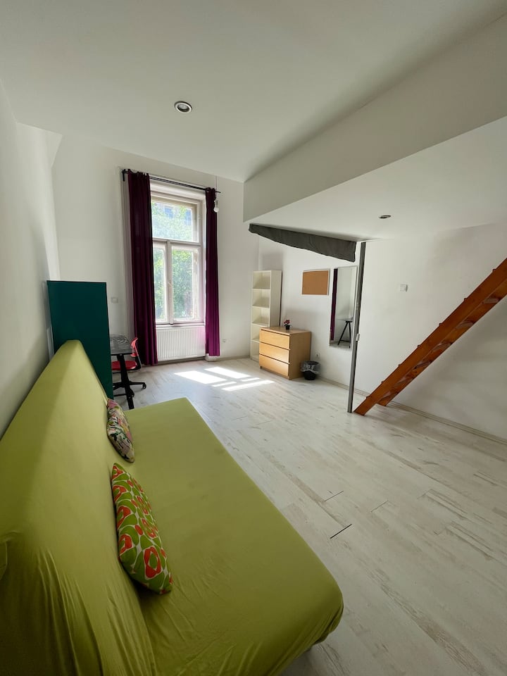 Private And Centrally Located Spacious Loft - Budapest