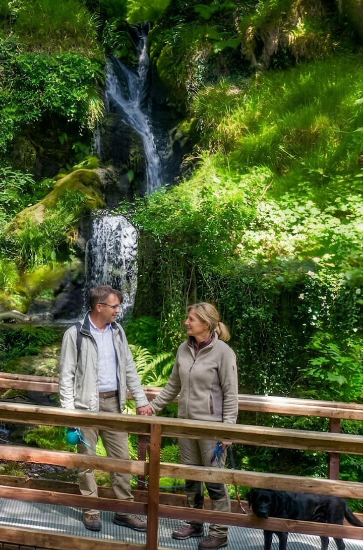 The Waterfall Lodge - Beddgelert
