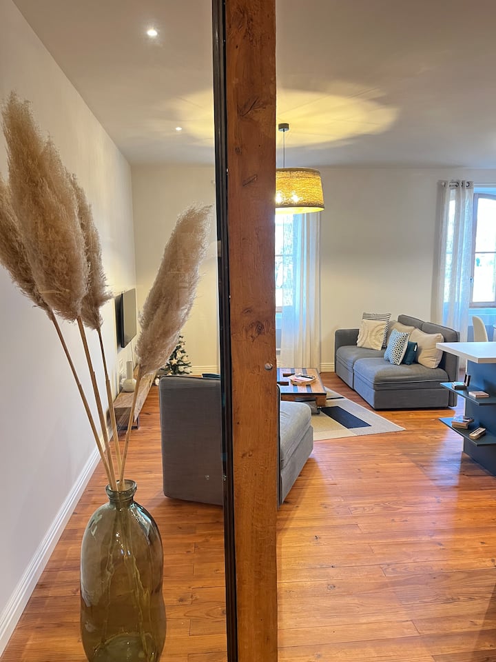 La Galupe - 70m2 Hyper Centre - Vue Berges Midouze - Mont-de-Marsan