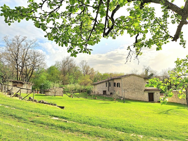 Il Casale Pozzillo [Un'ora Da Roma/idromassaggio] - Fiuggi