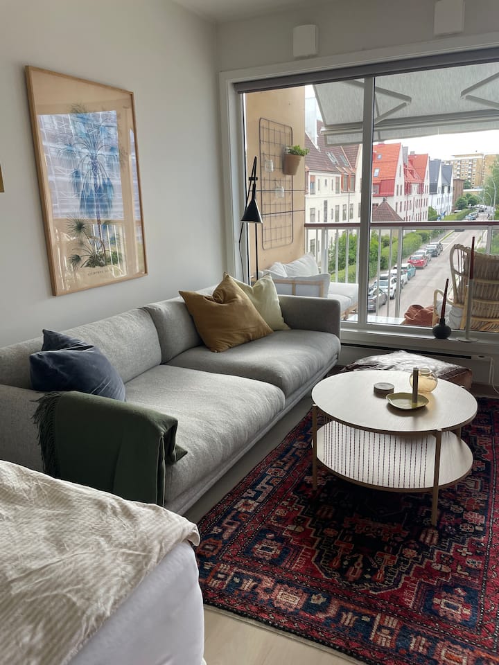 Lys Ettromsleilighet Med Balkong - Oslo