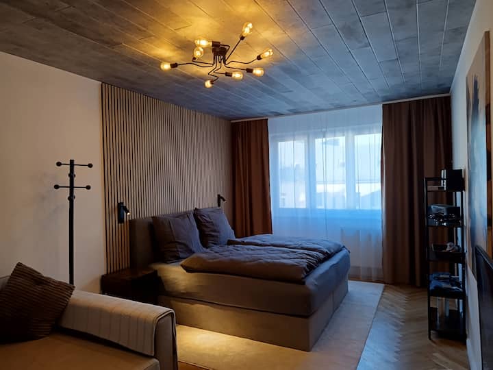 One Mile To The Spa Center - Karlovy Vary