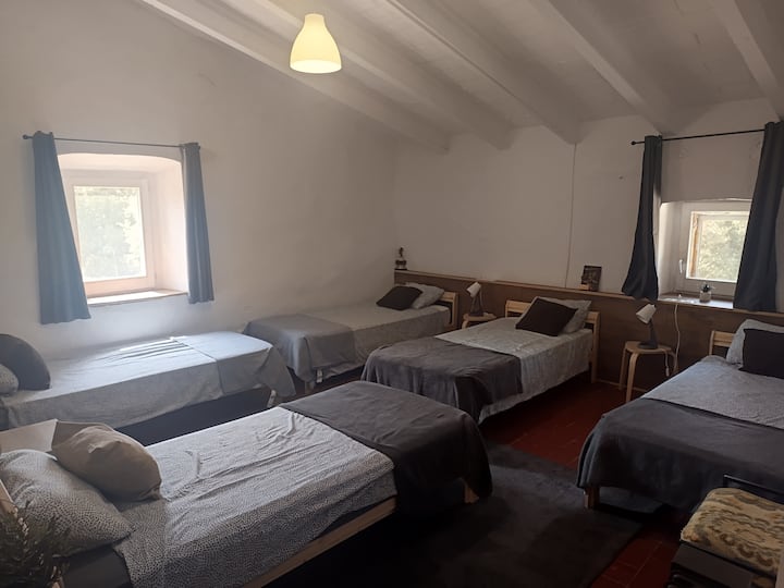 Habitación 5 Camas Individuales - Amer