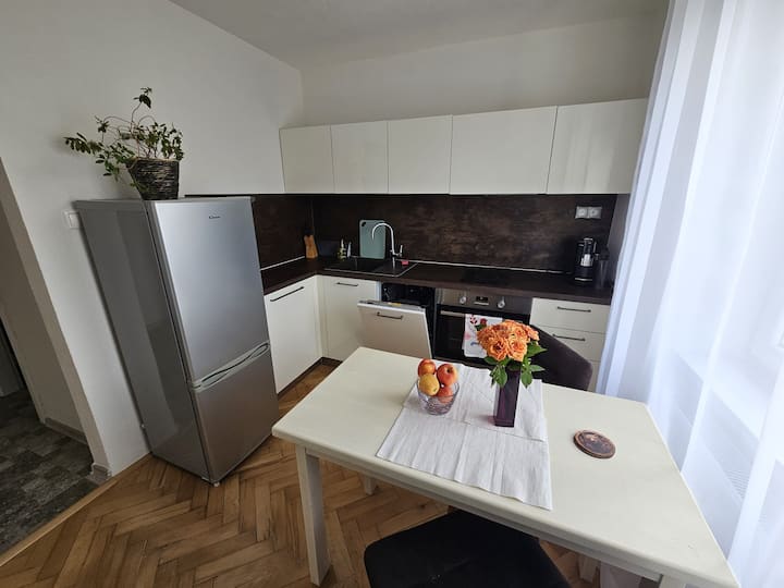 Center Apt.: Mountain View + Free Parking - Poprad
