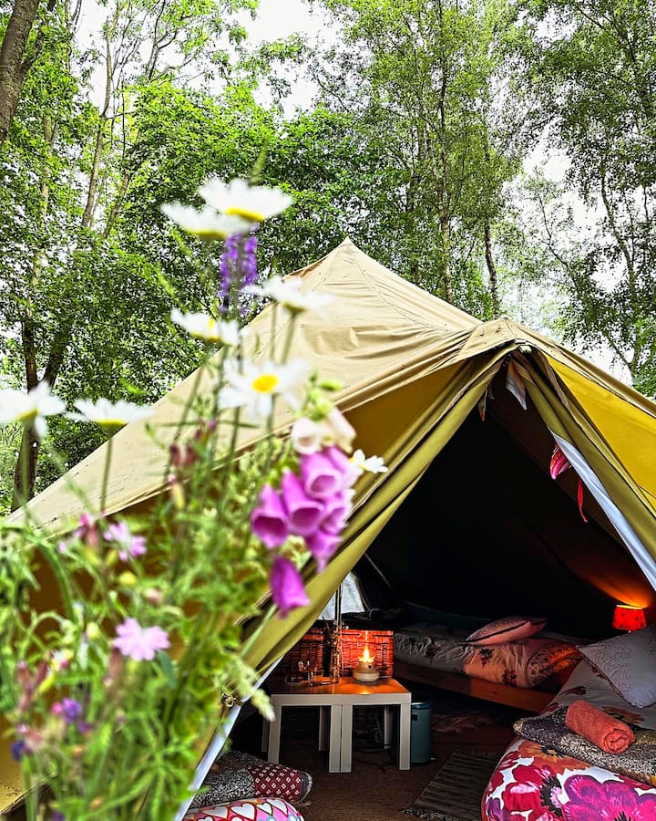 Bell-tent In Forest, Awesome Interior (Vatsa) - Groningen