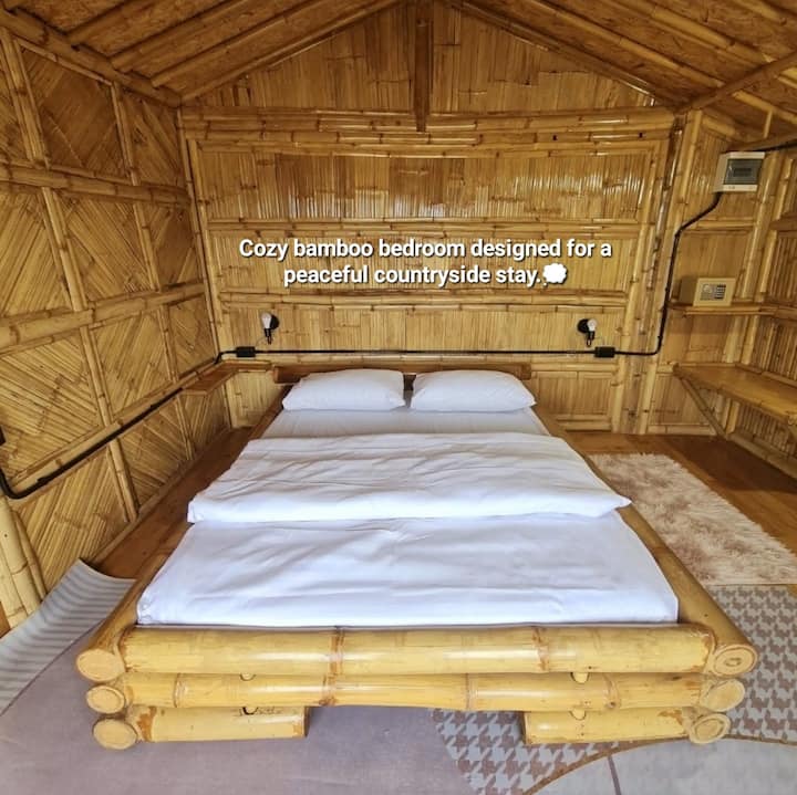 Authentic Local Experience ,Green Rice Field View - Thailand