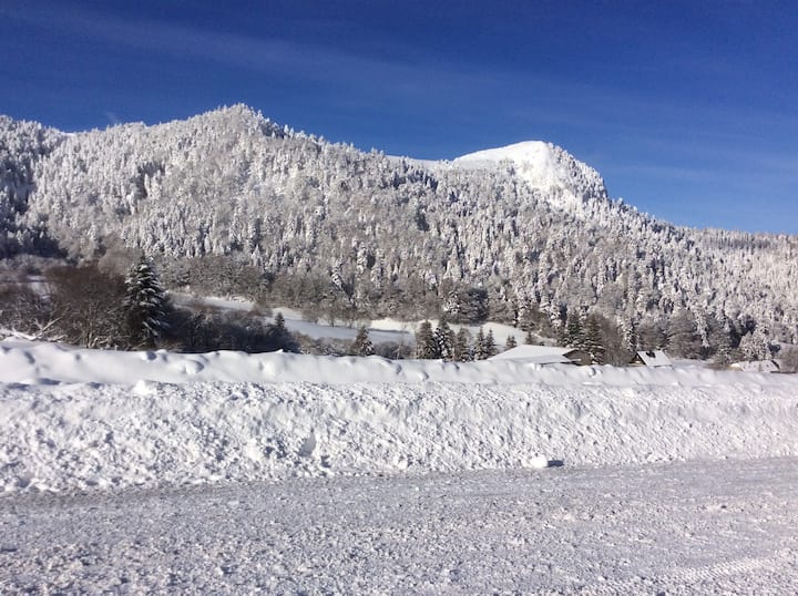 Studio Au Calme - Chambon-sur-Lac