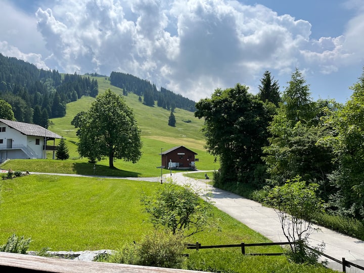 Chalet Zen – Nature, Calme Et Vue Montagne - Engelberg