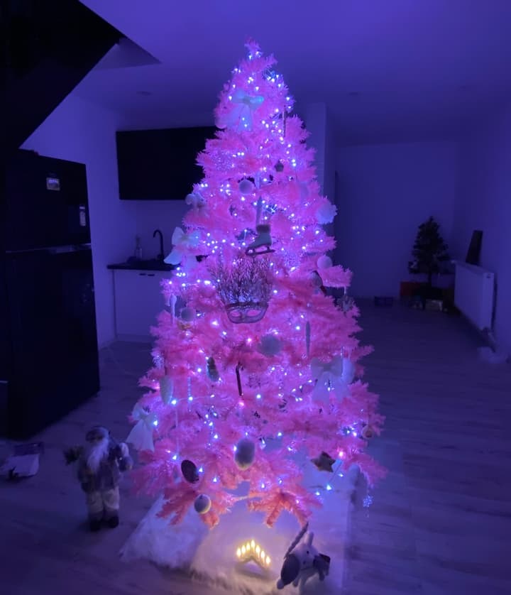 Addas Villa - Costinești