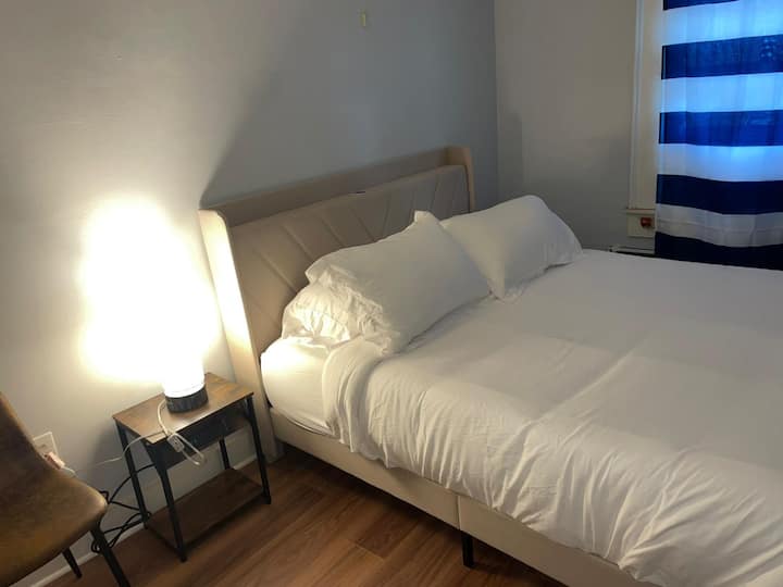 Classic Updated 2-bed Fl 1 Apt @Downtownalbany - Albany, NY