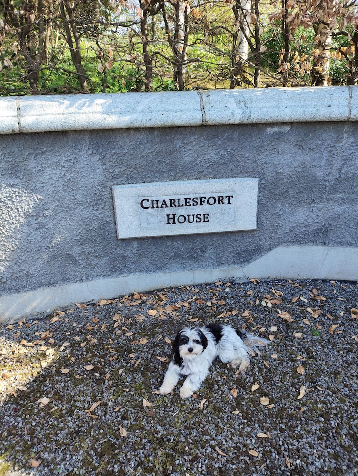 Charlesfort House - Enniscorthy