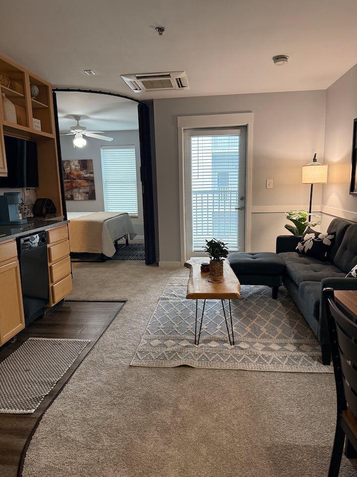 Chic City Apt W/ Parking &Canal View Roofdeck - Mile Square - Downtown - Indianapolis