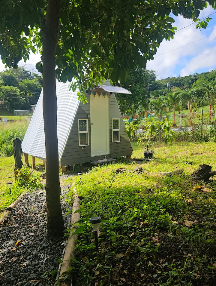 Artist A Frame Casa Mandala #2 - Vieques
