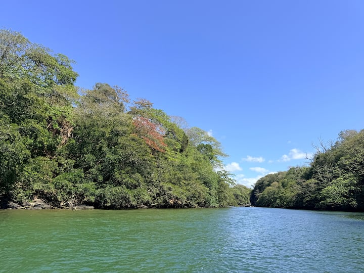 Chambre Confortable Climatisée - Maurice