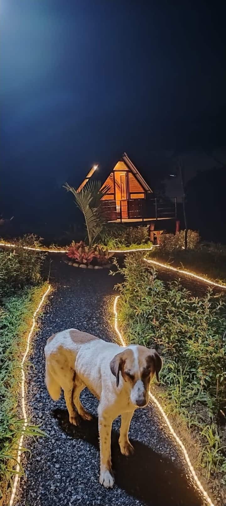 Espectacular Cabaña Tipo Glamping - Moniquirá