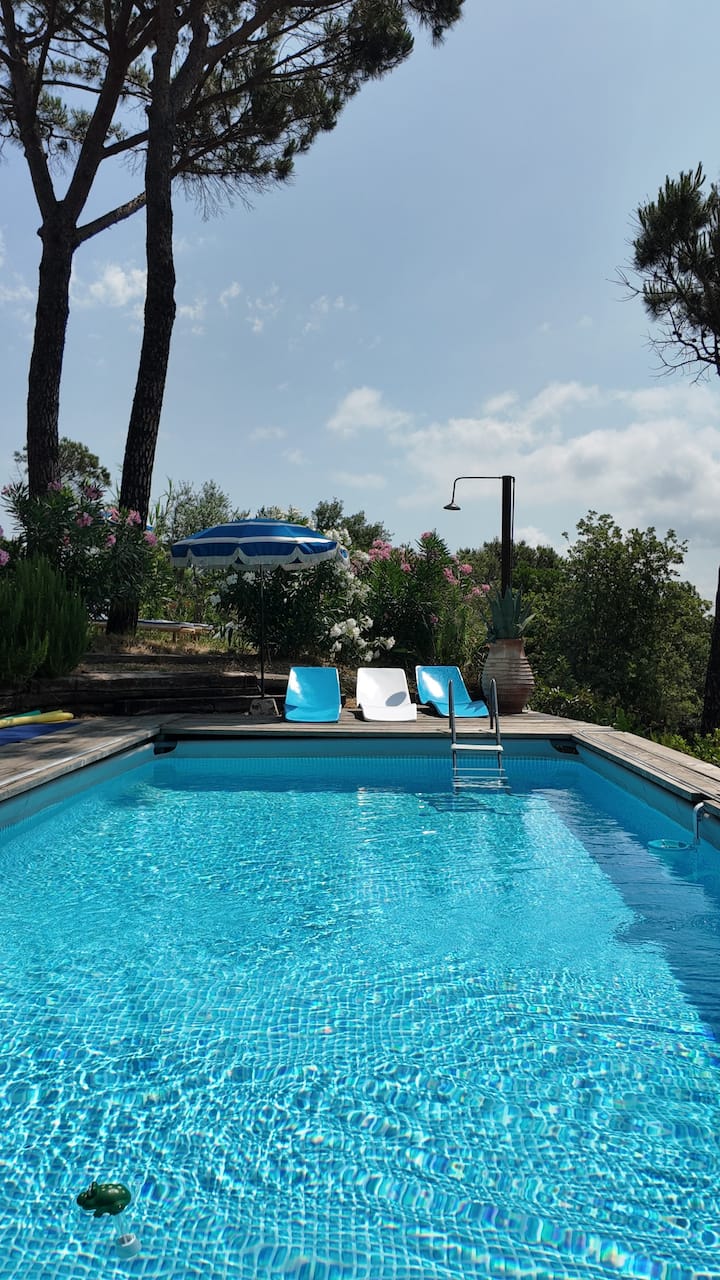 Maison De Campagne Domaine Des Oliviers Grimaud - Grimaud