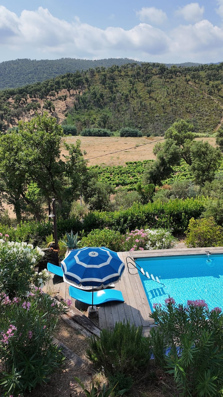 Maison De Campagne Domaine Des Oliviers Grimaud - Le-Plan-de-la-Tour