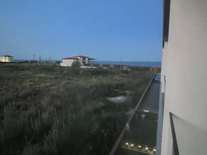 Loc De Vis - Costinești