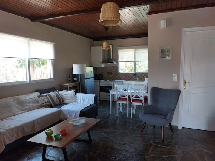 Villa Antheon - Milos