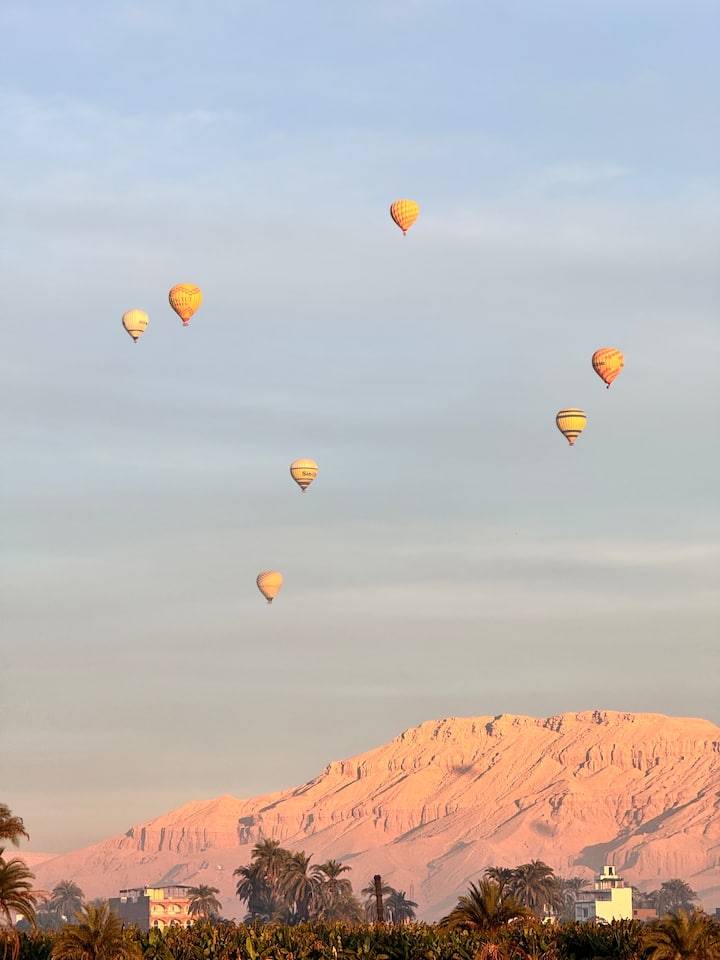 Sheherazade Guesthouse - Luxor