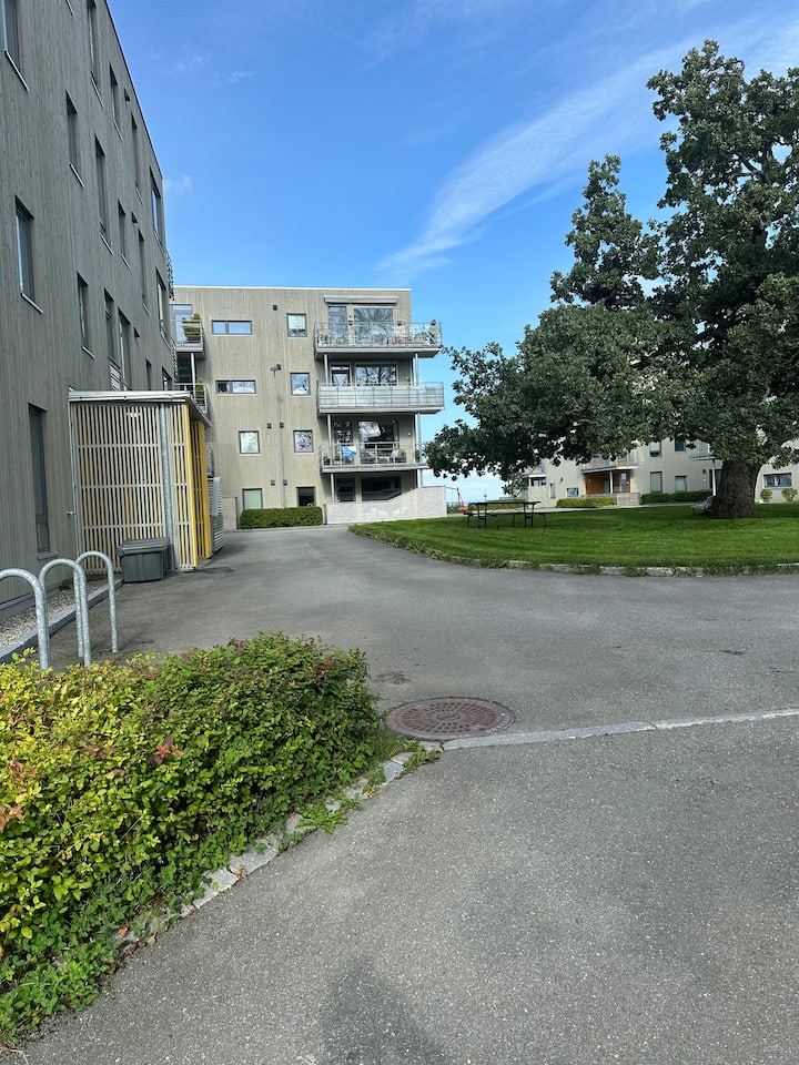 3 Roms Leilighet Byåsen Trondheim - Trondheim