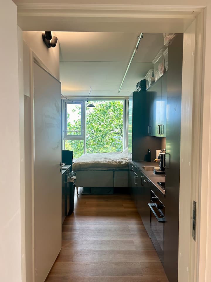 Modern Copenhagen City Apartment - Copenhagen