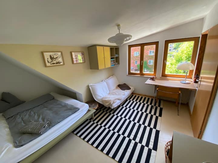 Rooftop Living In Franz Viertel! - Tübingen