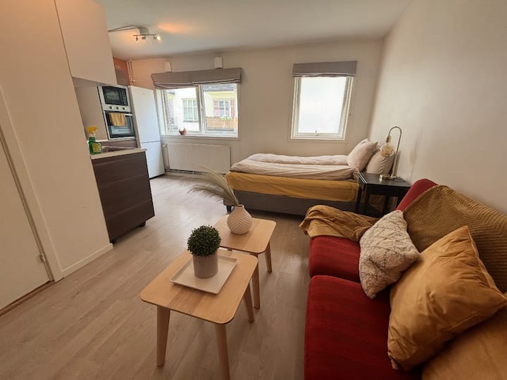 Ekstremt Sentralt - Perfekt Base For Dine Eventyr! - Oslo