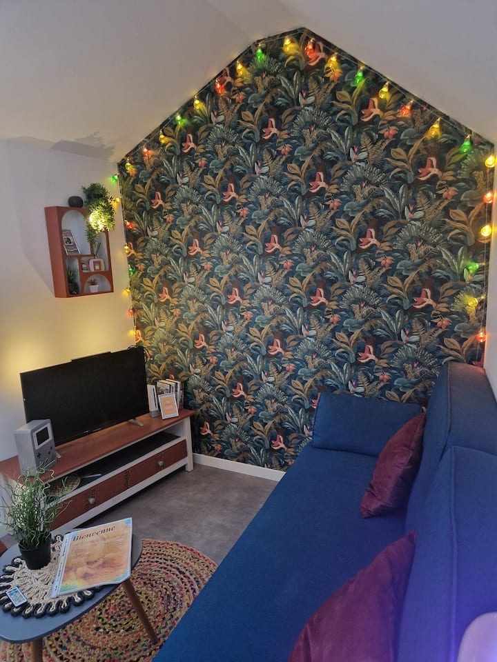 Logement Entier, Centre Ville - Châtellerault