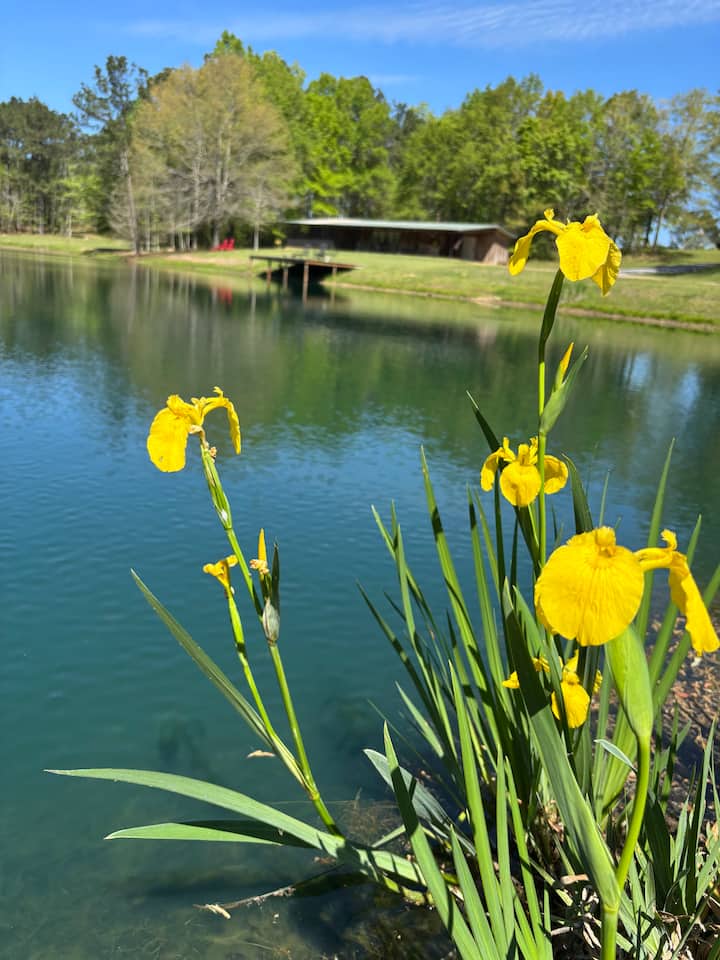 A Trace Of Peace

Reservoir/natchez Trace Parkway - Mississippi